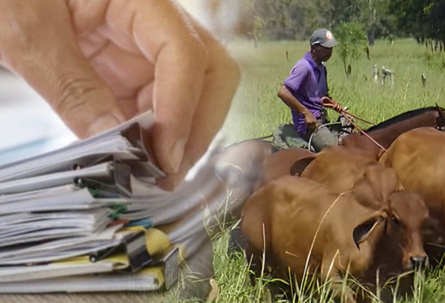 Cuáles son los 7 costes de una empresa ganadera | CONtexto Ganadero