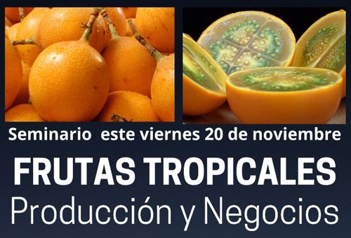 Las oportunidades de las frutas tropicales en los mercados interno y ...