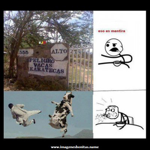 Memes Del Vacas Los 10 Mejores Memes De Vacas | CONtexto Ganadero