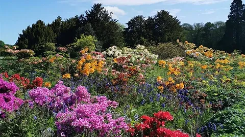 Gardens | Ashridge House