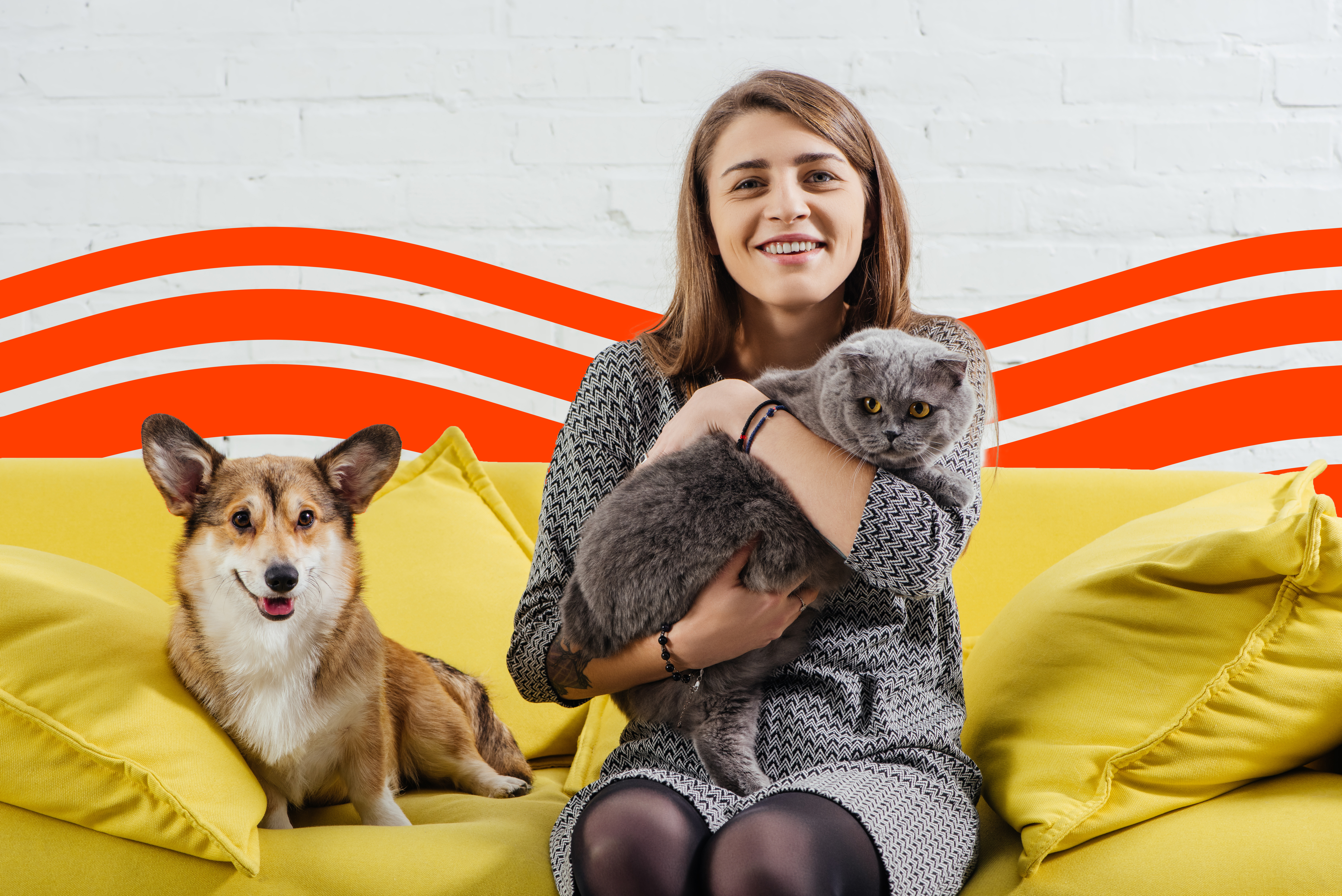 25 Cat-safe Houseplants