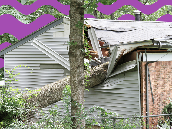 What Is Windstorm Insurance? - Insurify