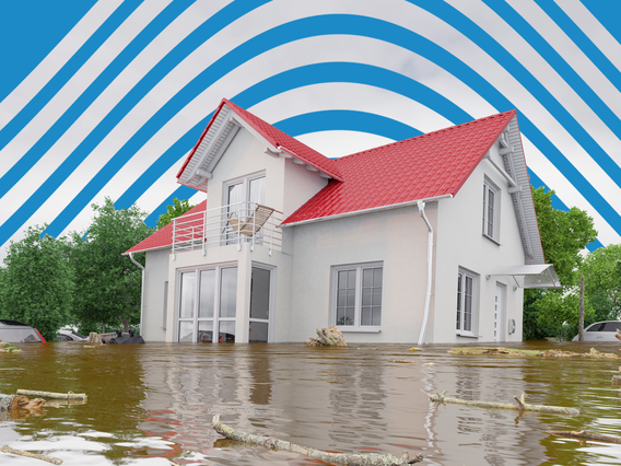 Understanding Flood Zone X: What You Need to Know