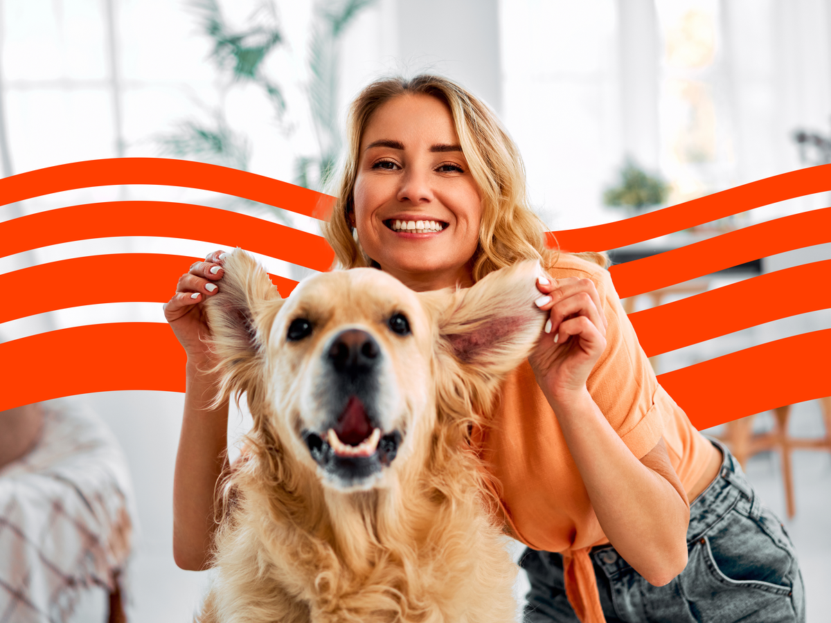 Interesting Pet Insurance Sc Photos