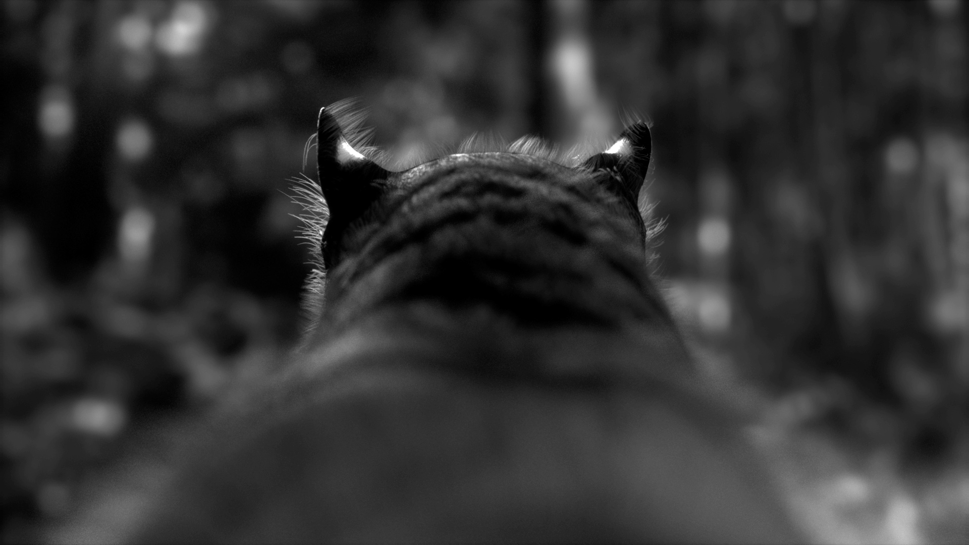 BORN - Fluent Studio - design and motion design