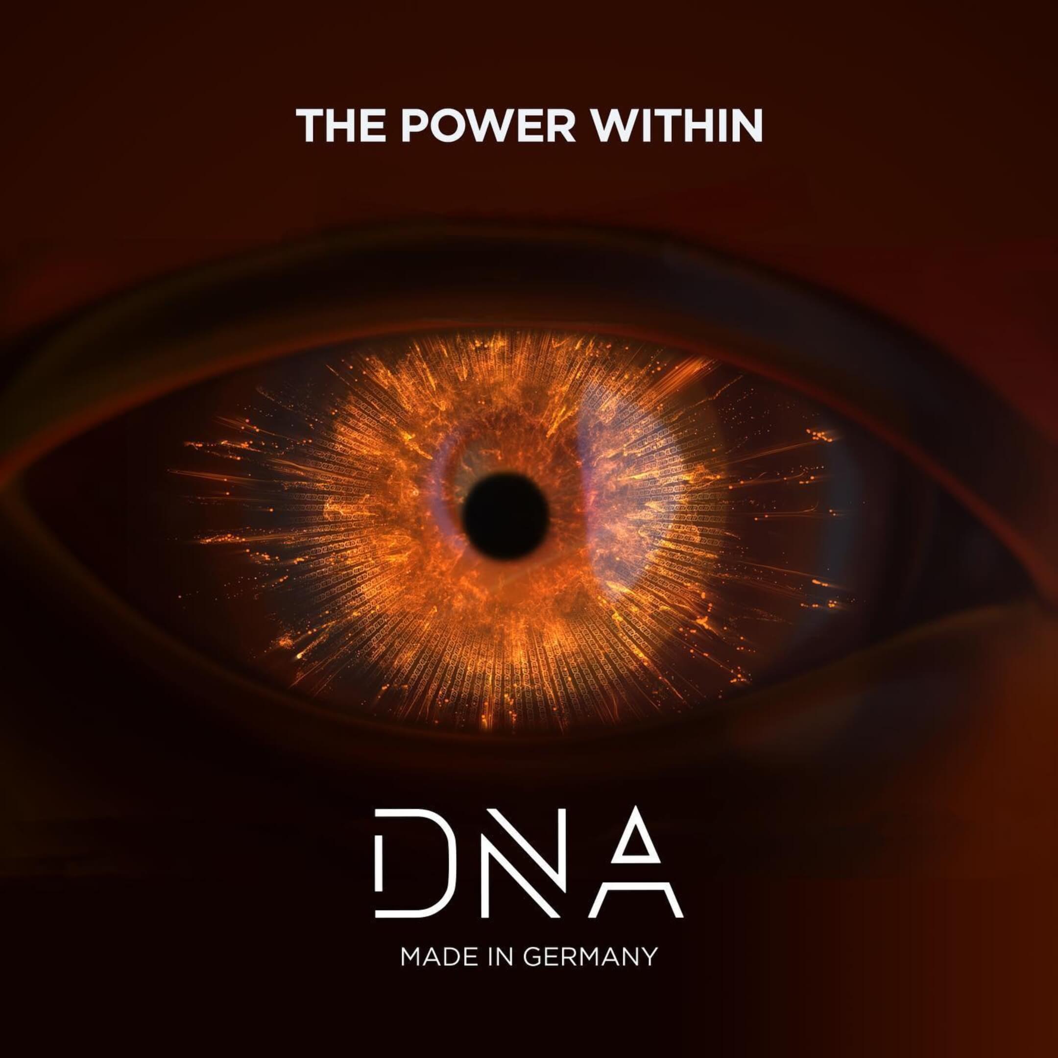 DNA Platinum XH | STIGA Sports