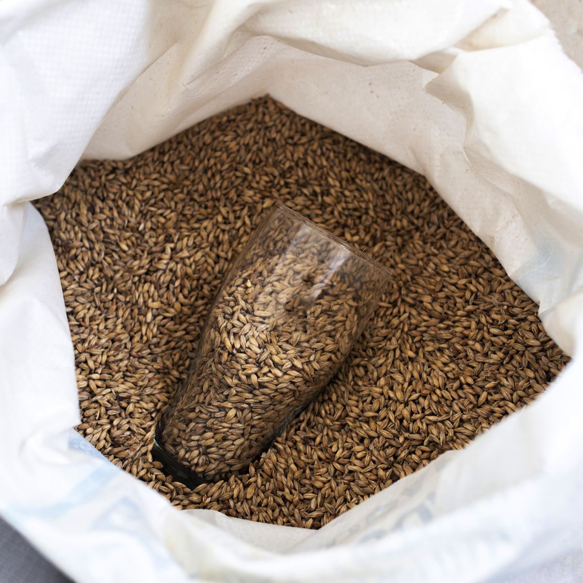 Bier Malz: Alkoholfreie Biere, Gerstenmalz, Röst- & Weizenmalz