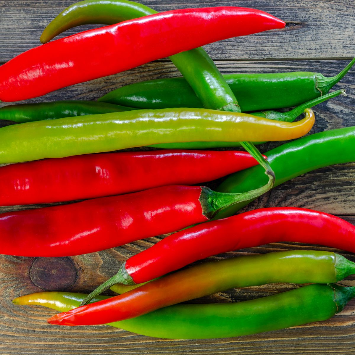 Tabasco-Chili: Verwendung, Schärfe & Kauftipps