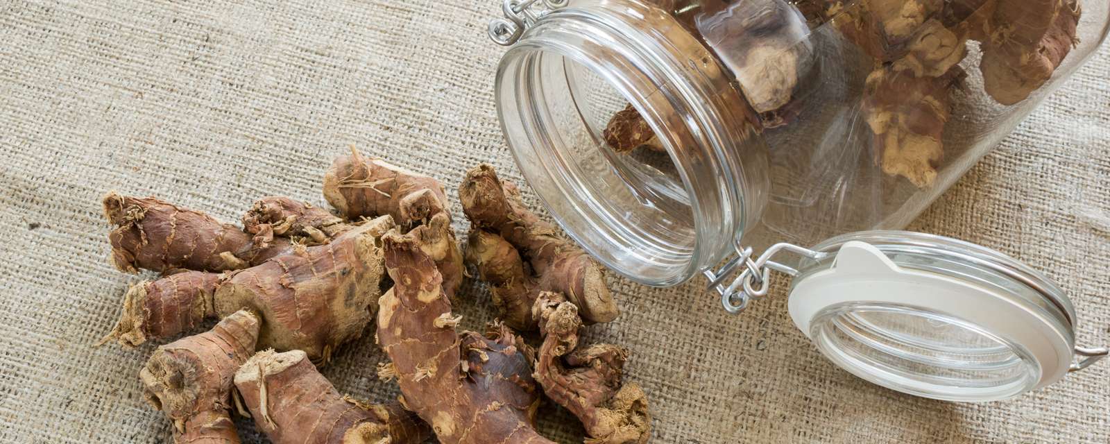 Galgant Gewürz: Verwendung, Geschmack & Ersatz