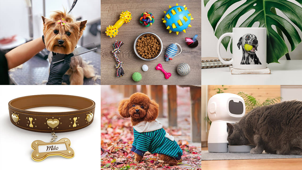 Pet Business Ideas: 15 Profitable Ventures For Animal Lovers