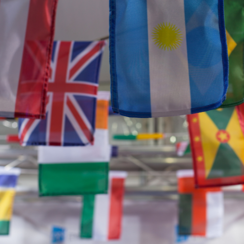 Rozelle Public School | OSHClub