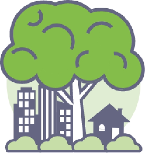 CCF - Clyde Climate Forest