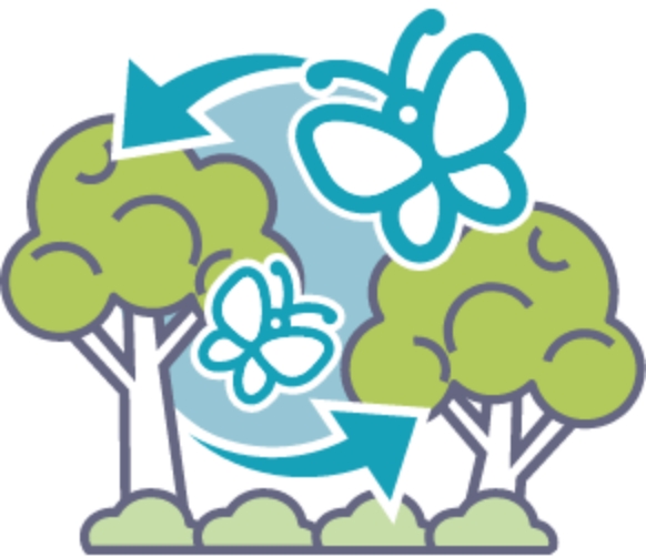 CCF - Clyde Climate Forest