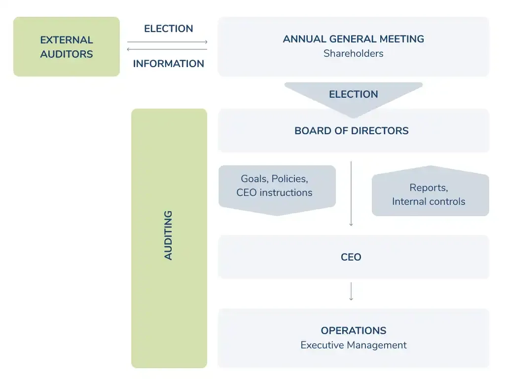 Investors – Governance | Divio