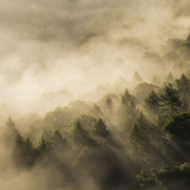 Cloud Computing Glossary & Terminology | Divio