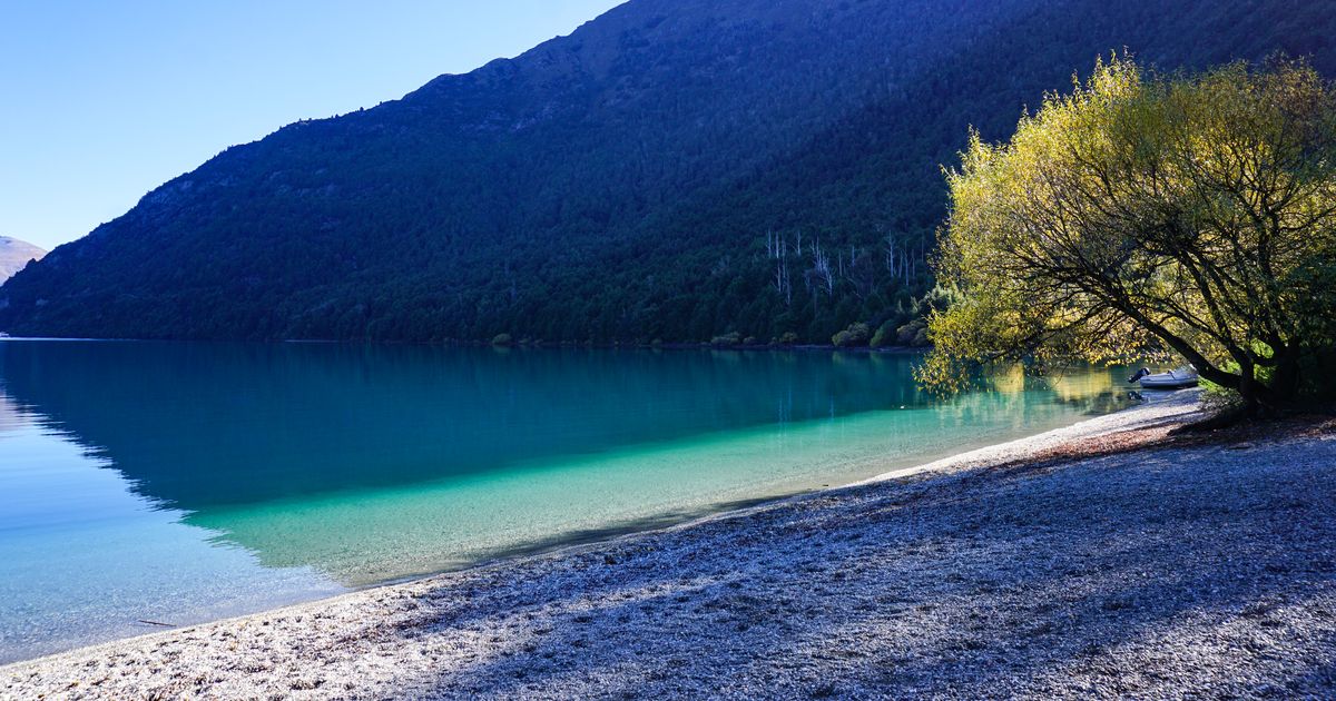 7 easy walks in Queenstown | Love Queenstown
