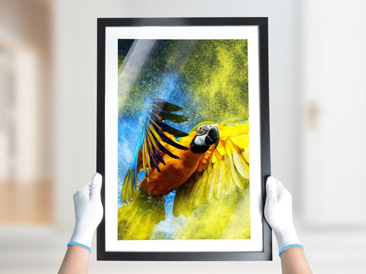 Design custom PVC banner | MYPOSTER