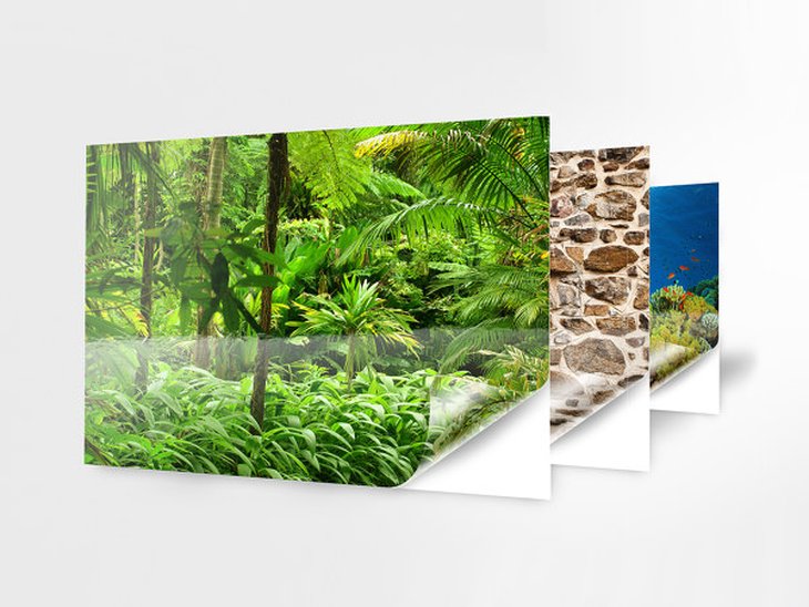 Selbstklebende Folie bedrucken lassen | MYPOSTER