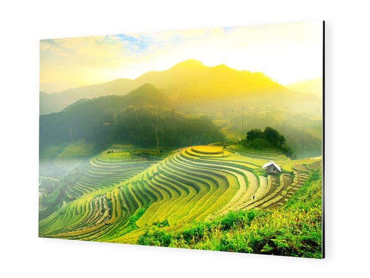 Foto op aluminium | Simpel & snel | Veel opties! | MYPOSTER