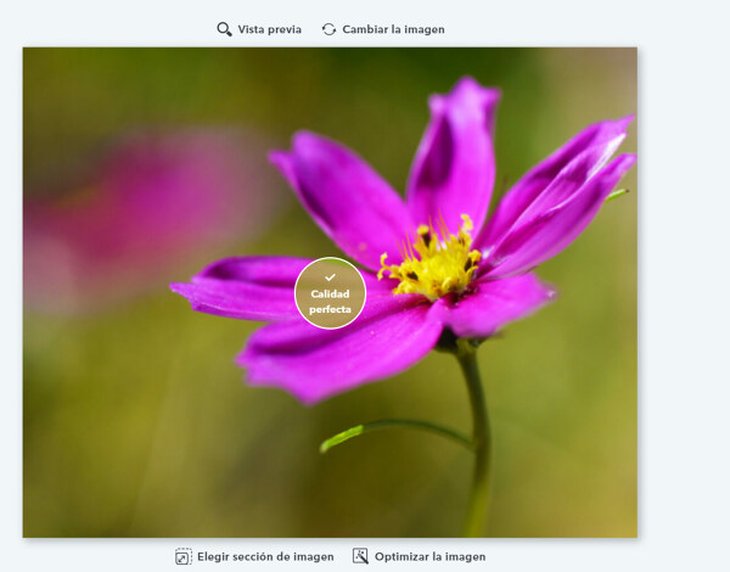 Poster personalizado | Imprimir poster online | MYPOSTER