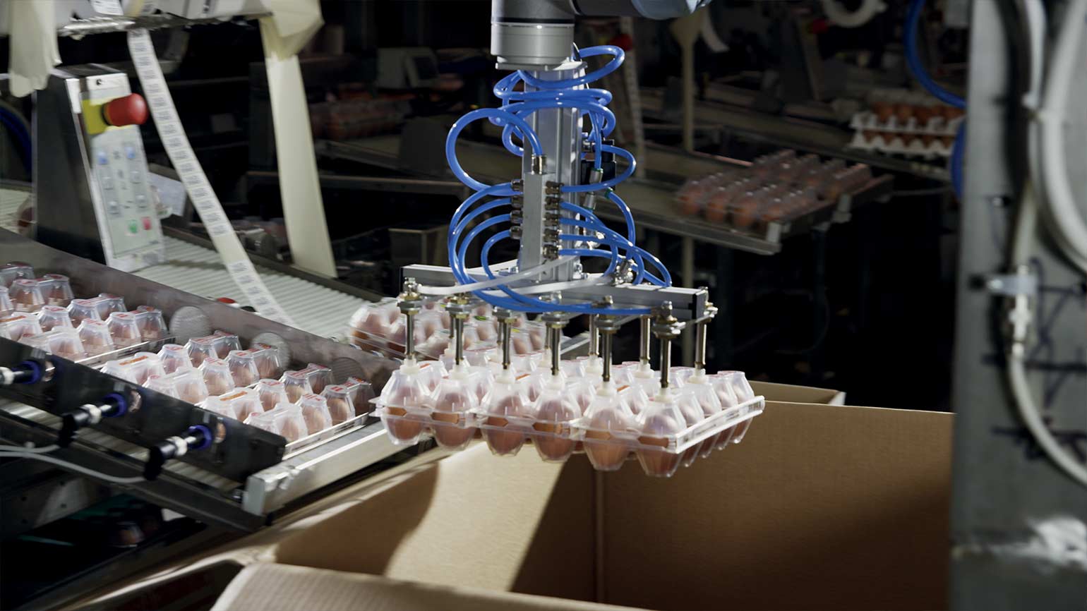 How cobots are transforming food and beverage businesses