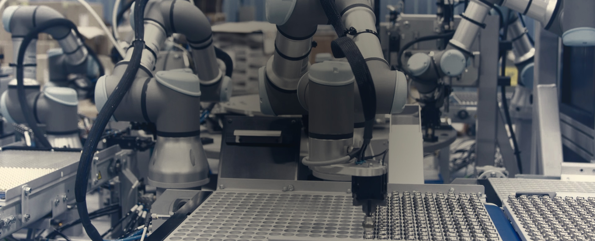 Universal Robots ensures quality Made in the Netherlands