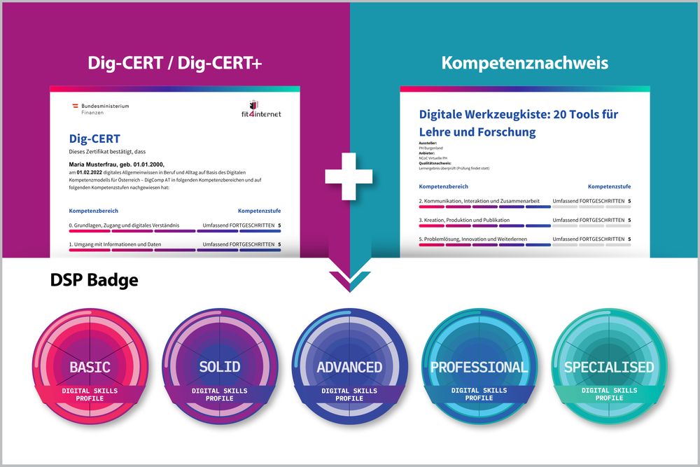Digital Skills Profile