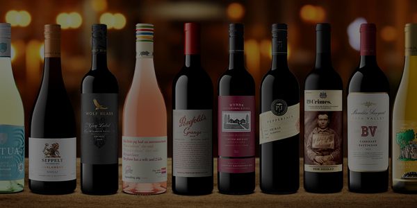 Bottles of wine on a background