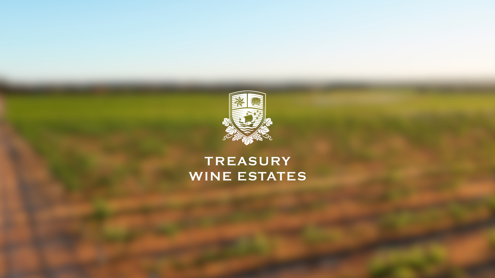 twe-vineyard-image.png