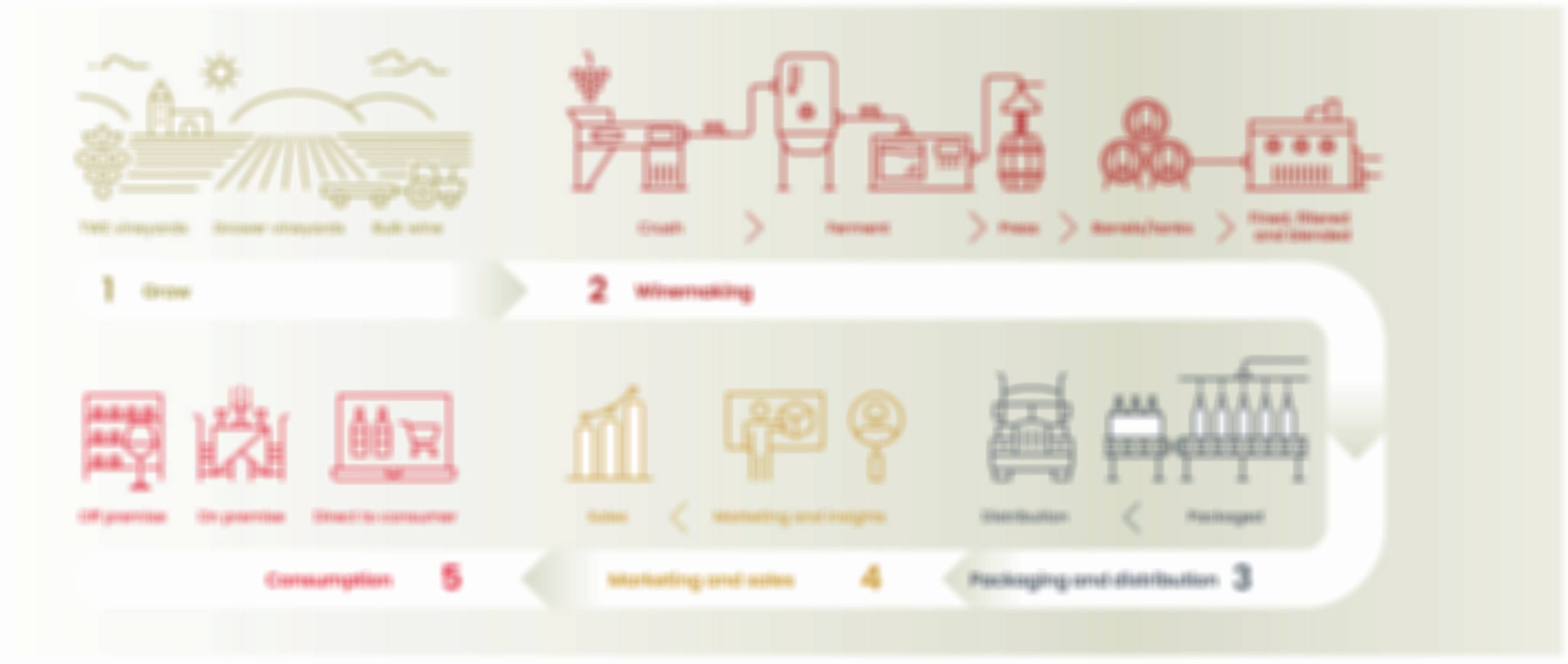 Value Chain | Sustainability | Treasury Wine Estates