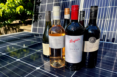 Group image of Treasury Wine Estates brands wine bottles on solar panel