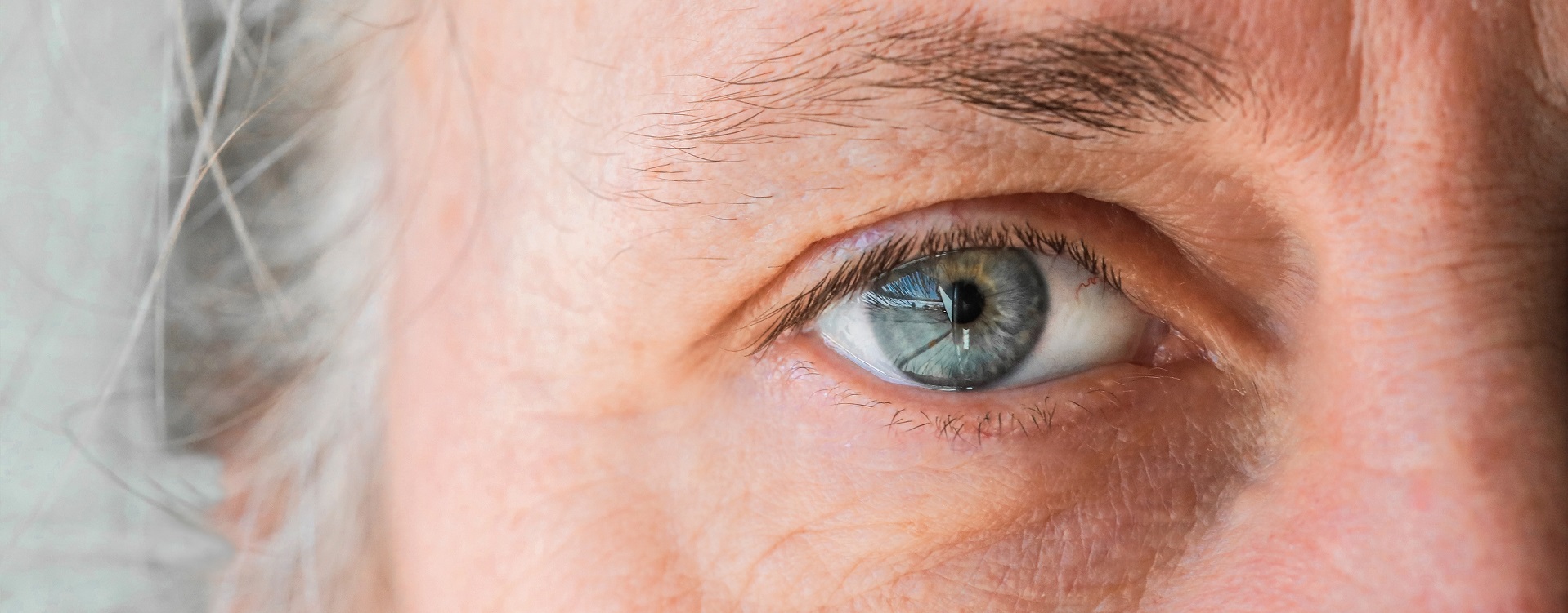 Roche | DMLA : causes et principaux facteurs de risque