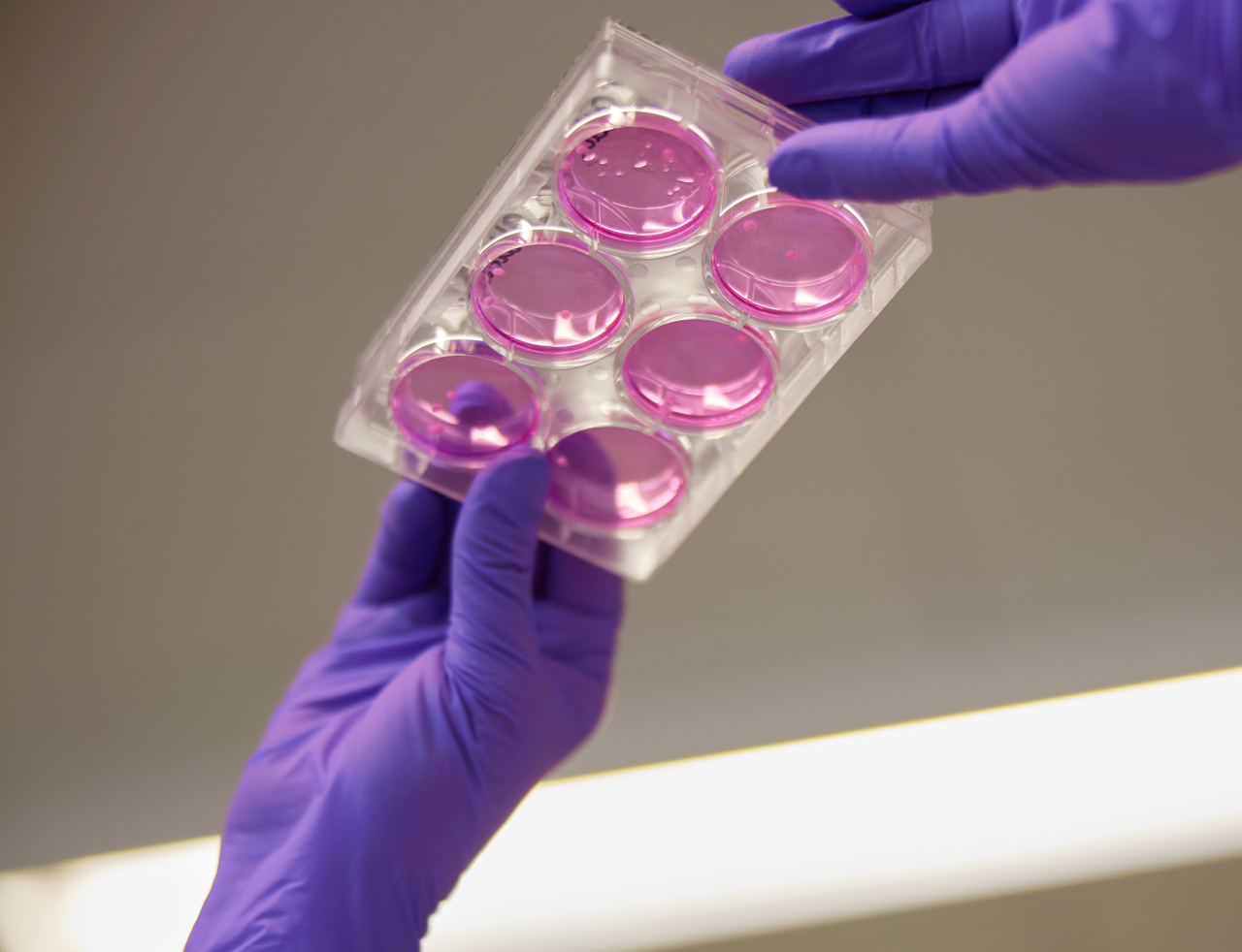 Ricerca - Roche Italia