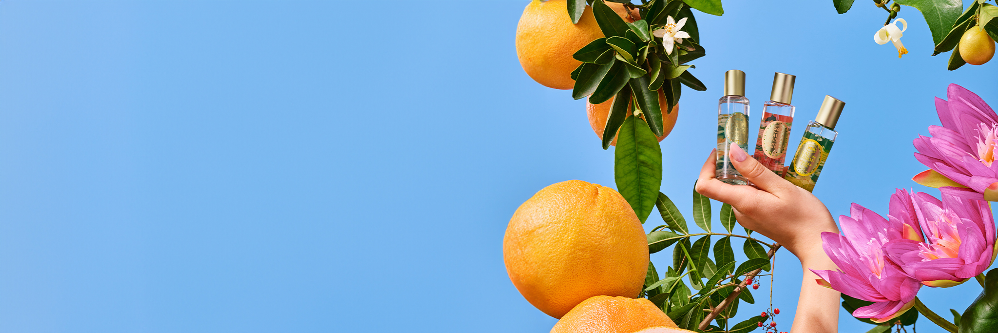 Sabon Site Officiel - Sabon France#N# – SABON France