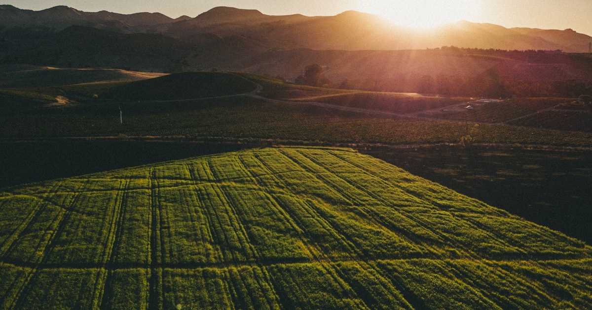 IGEAN hernieuwt biogasinstallatie en investeert in biomethaan.