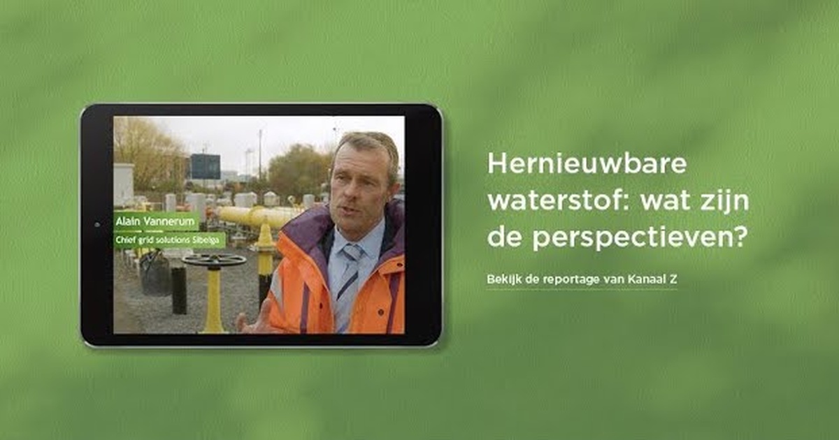 L Hydrogène Renouvelable Le Nouvel Or Vert