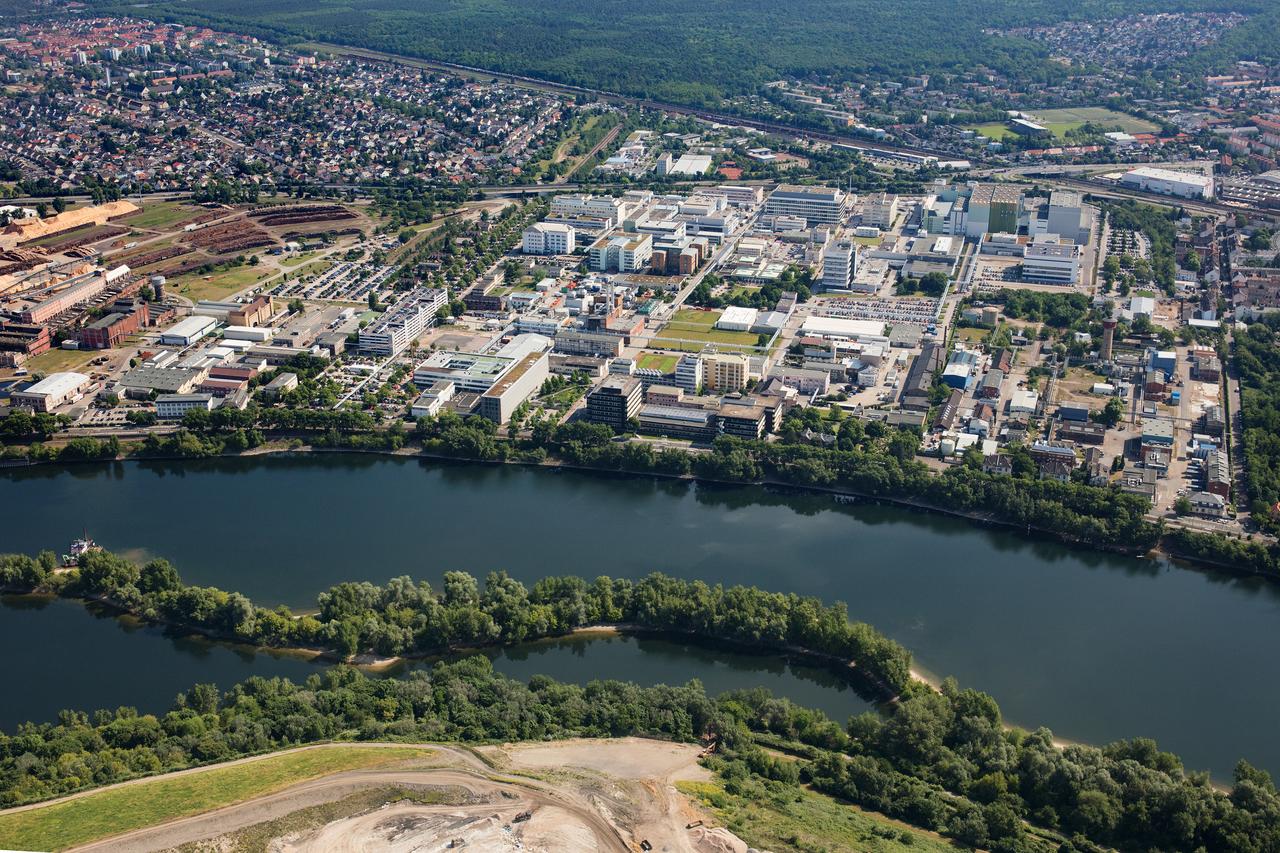 Roche in Europe