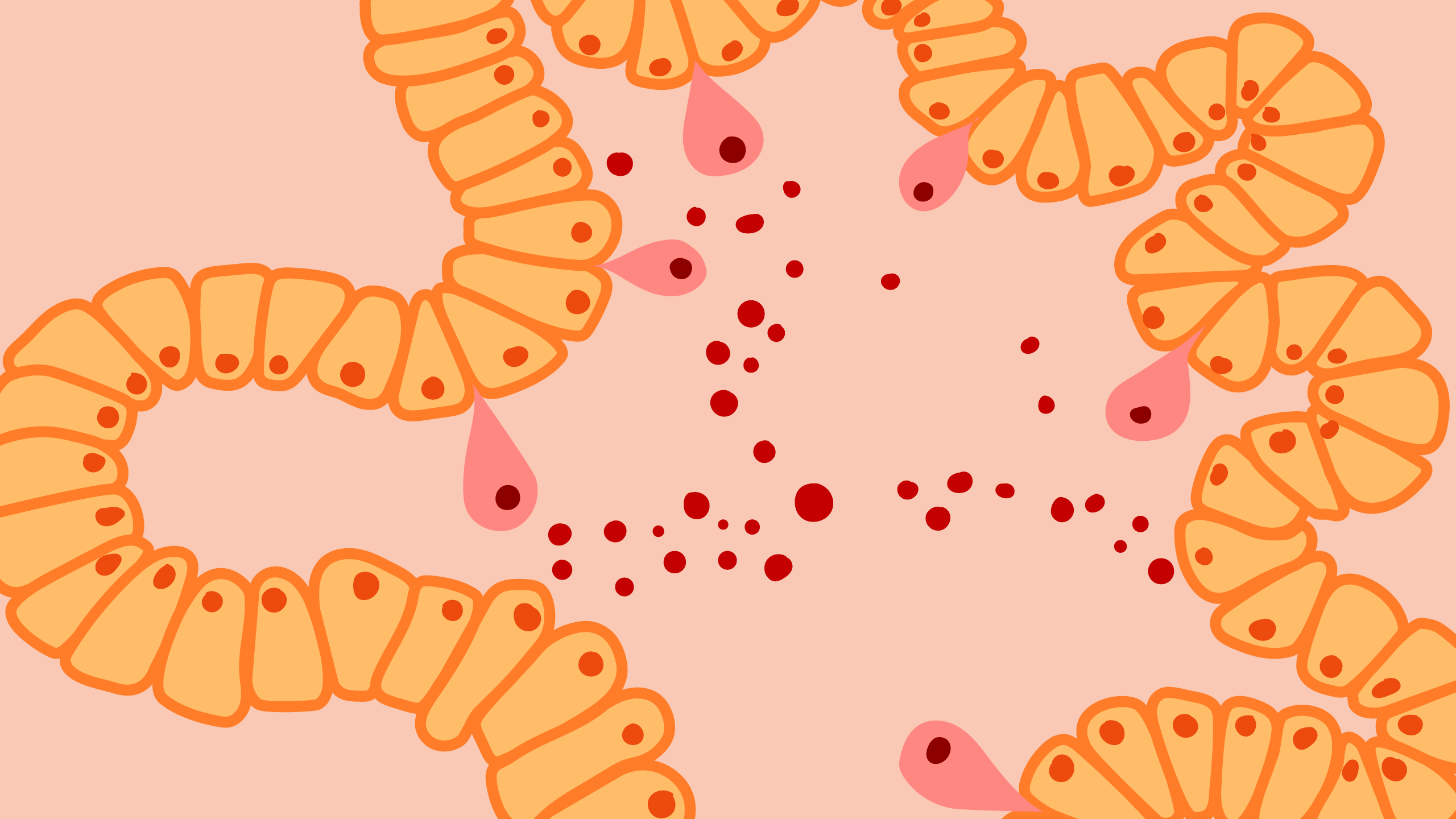 Roche | Modeling the future