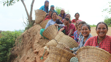 Community and Environment