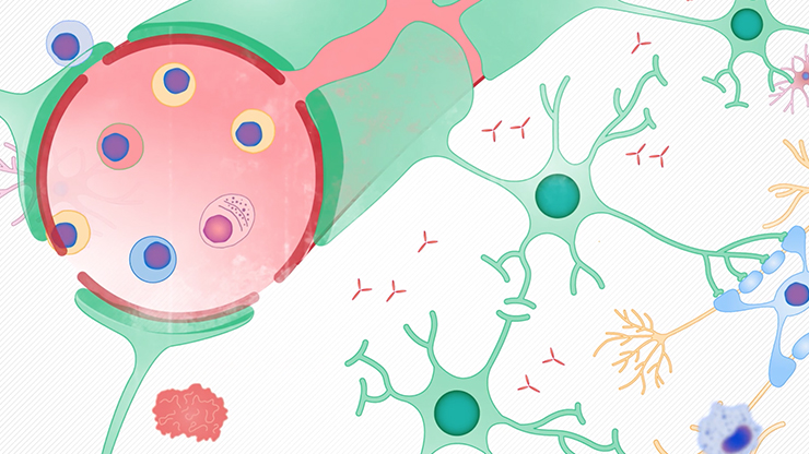 Learning about the science behind NMOSD