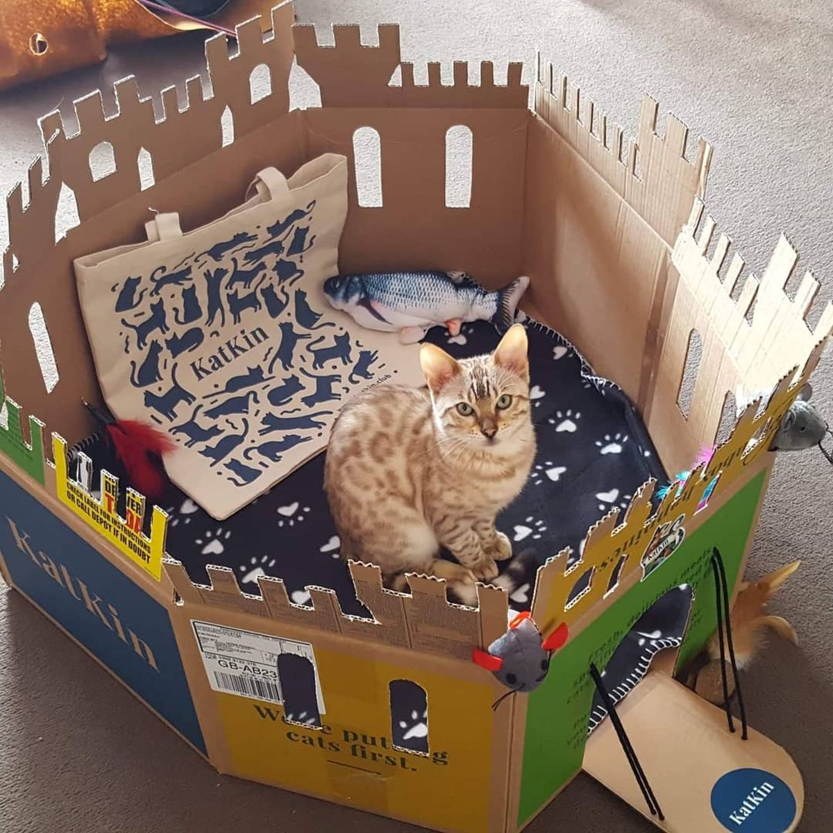 Thinking Outside the Box