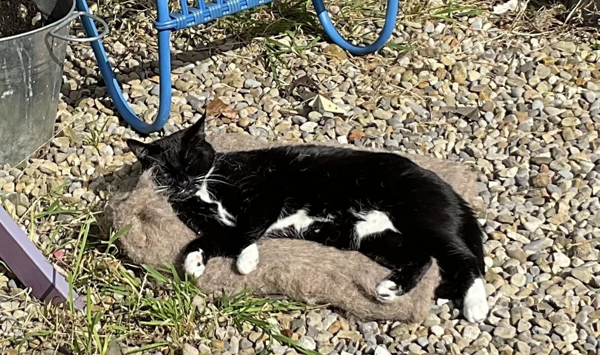 Thinking Outside the Box