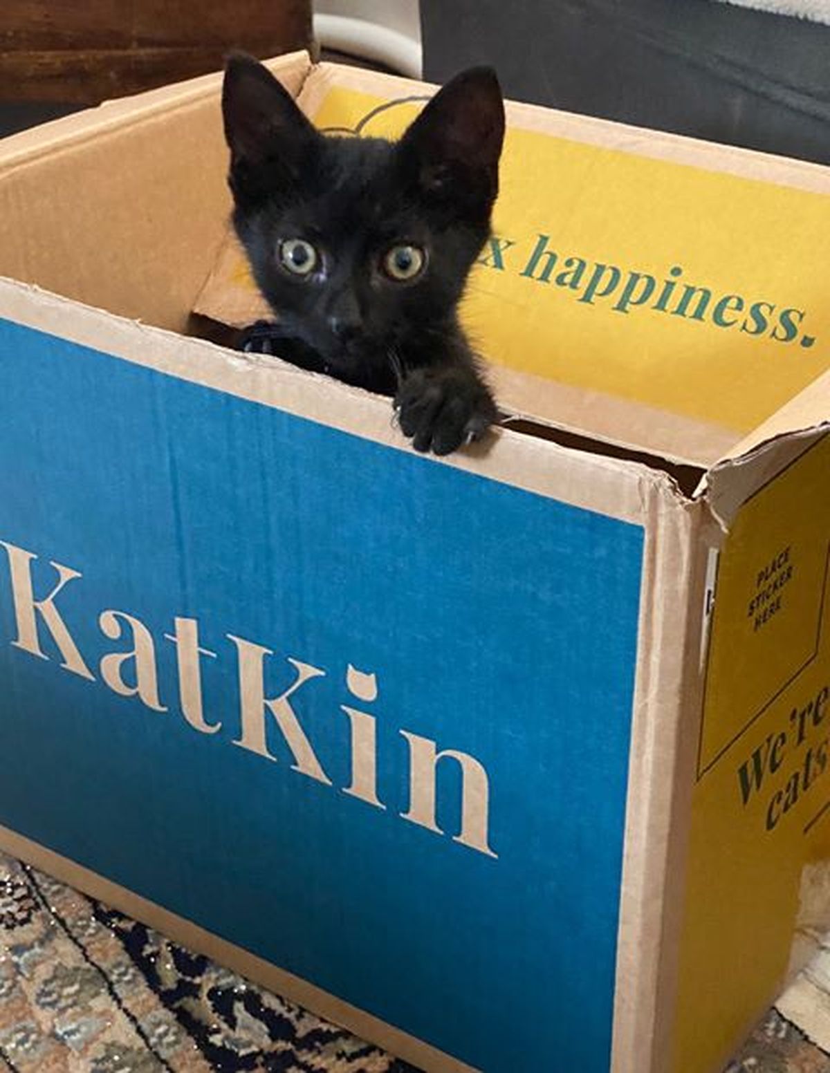 Thinking Outside the Box