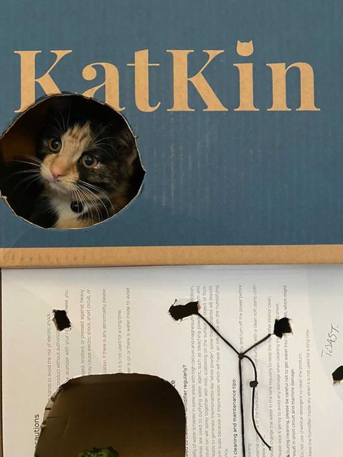 Thinking Outside the Box