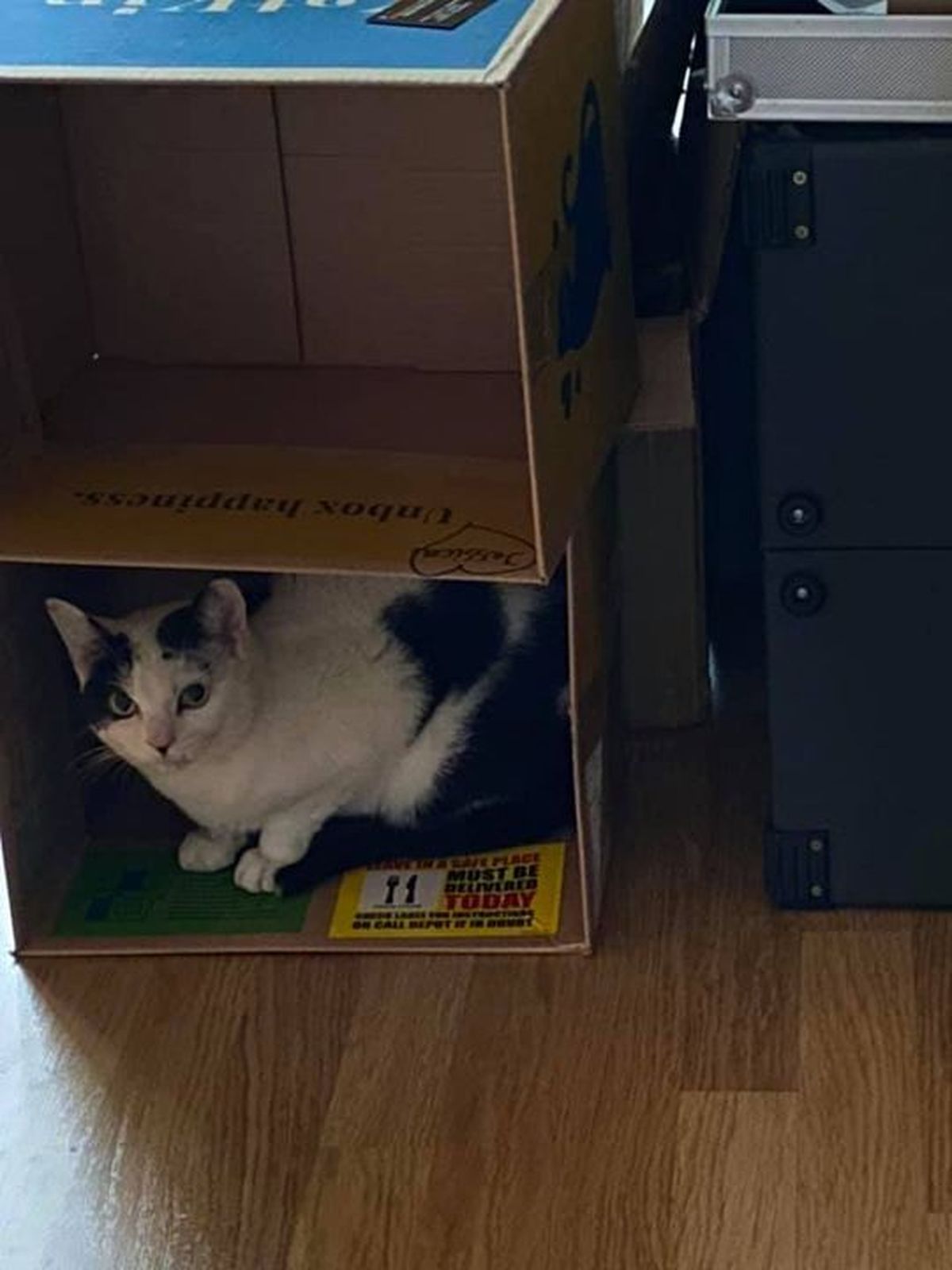 Thinking Outside the Box