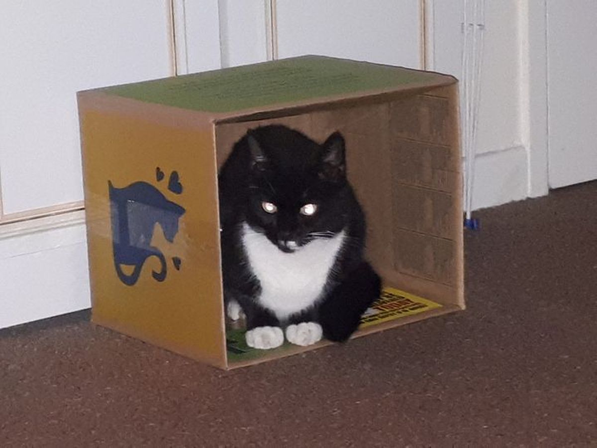 Thinking Outside the Box