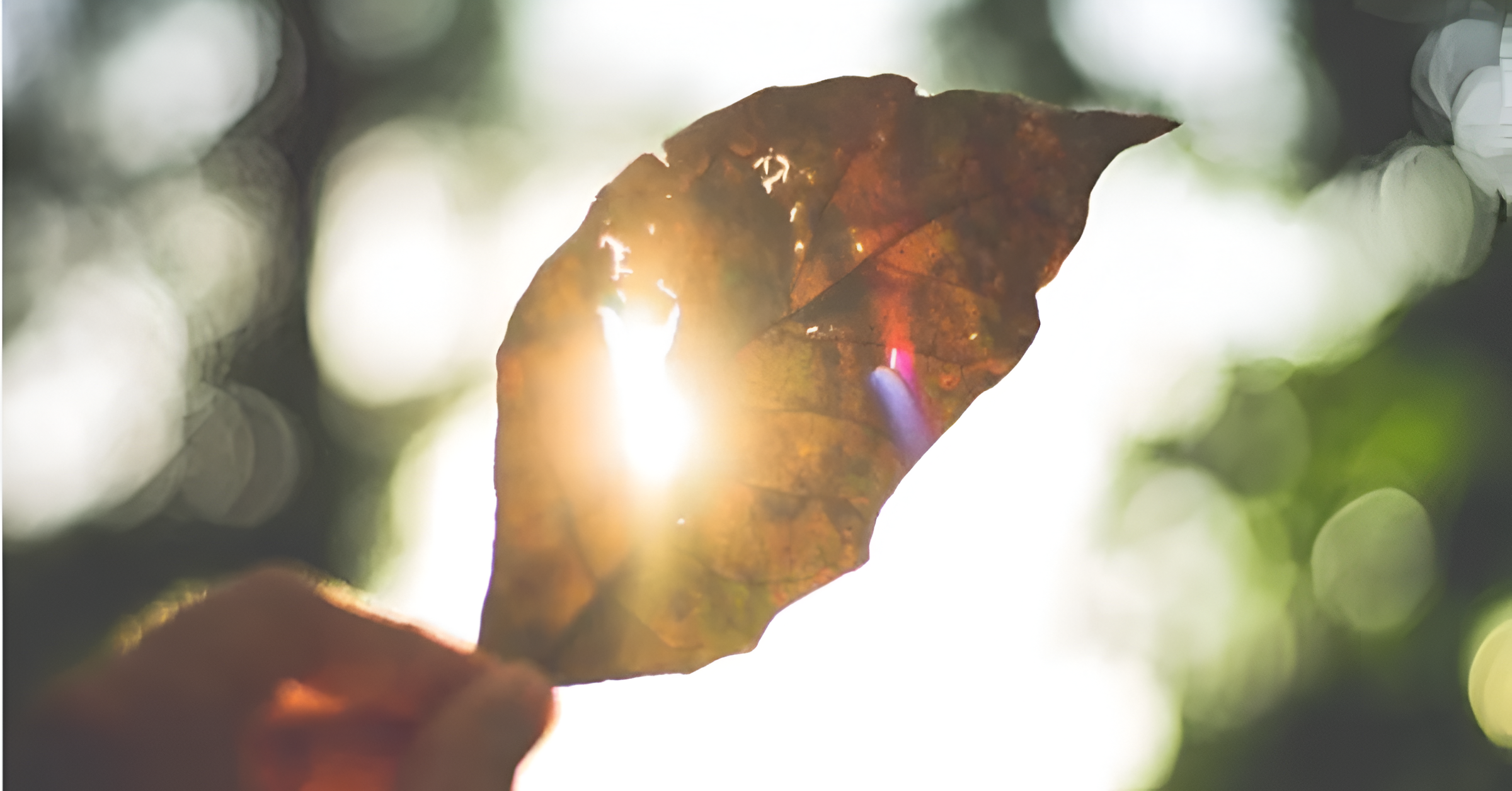 Impost al sol, cal pagar impostos per tenir plaques solars?