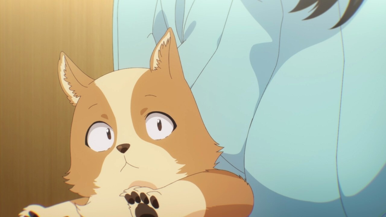 Boy Becomes Dog Anime