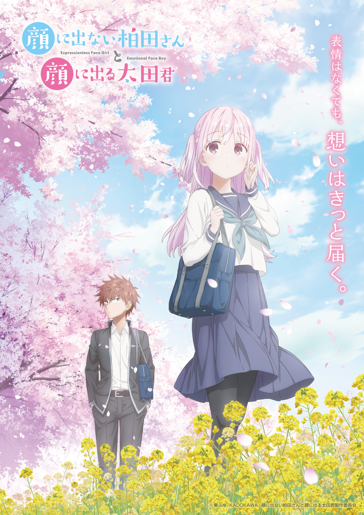 expressionless story