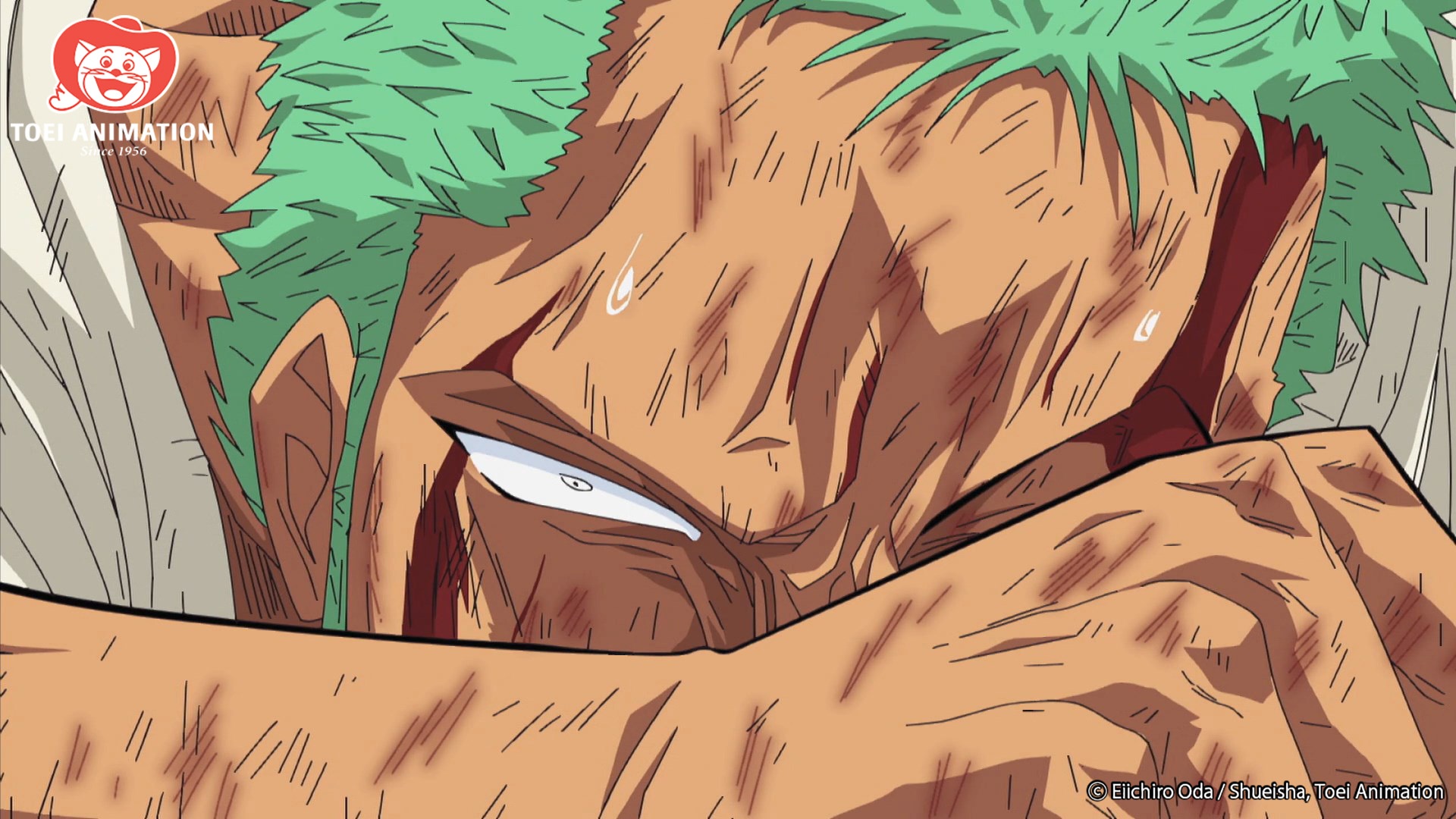 eiichiro oda art evolution